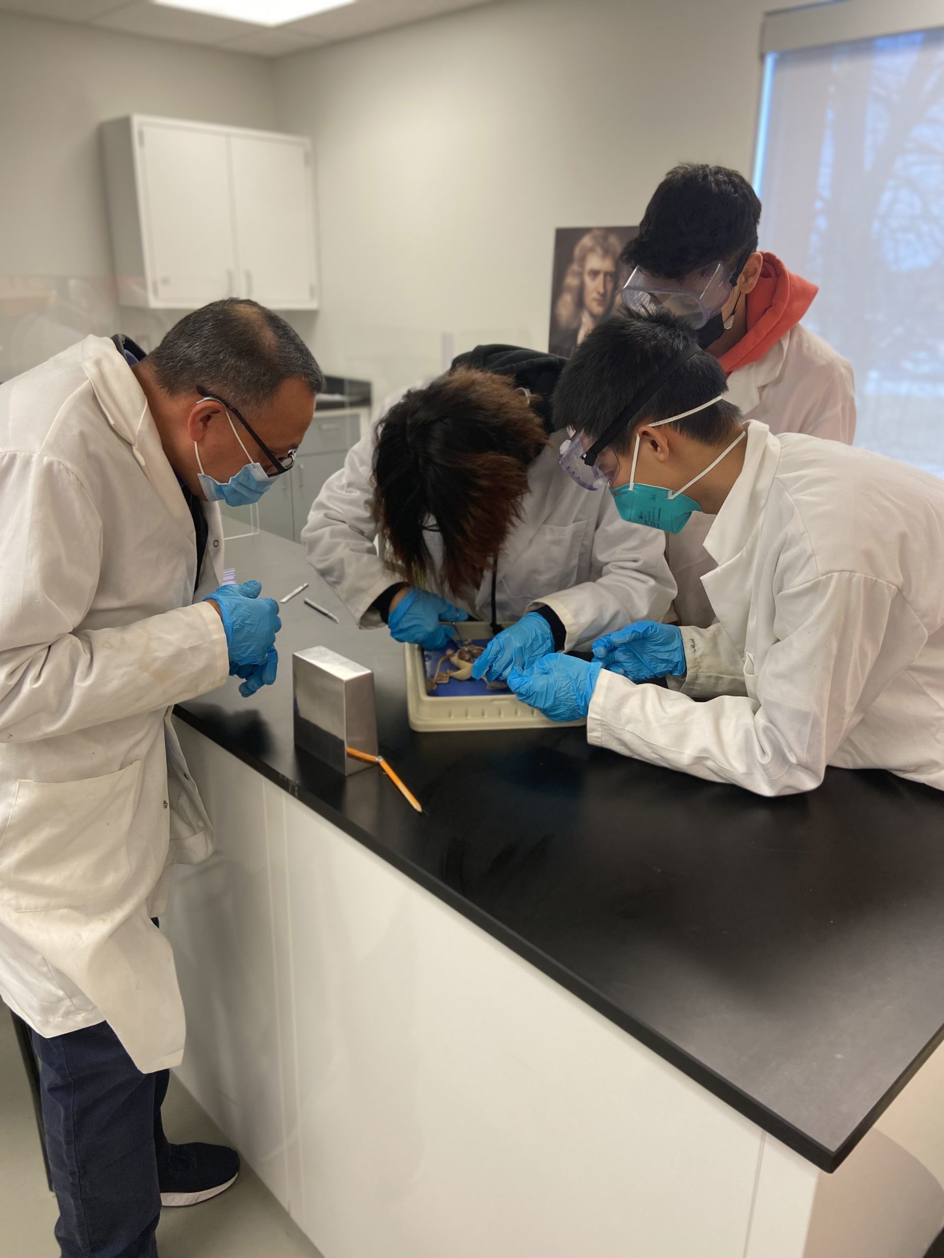 Dissection of a Rat - Newton's Grove School: Kids Grow Here