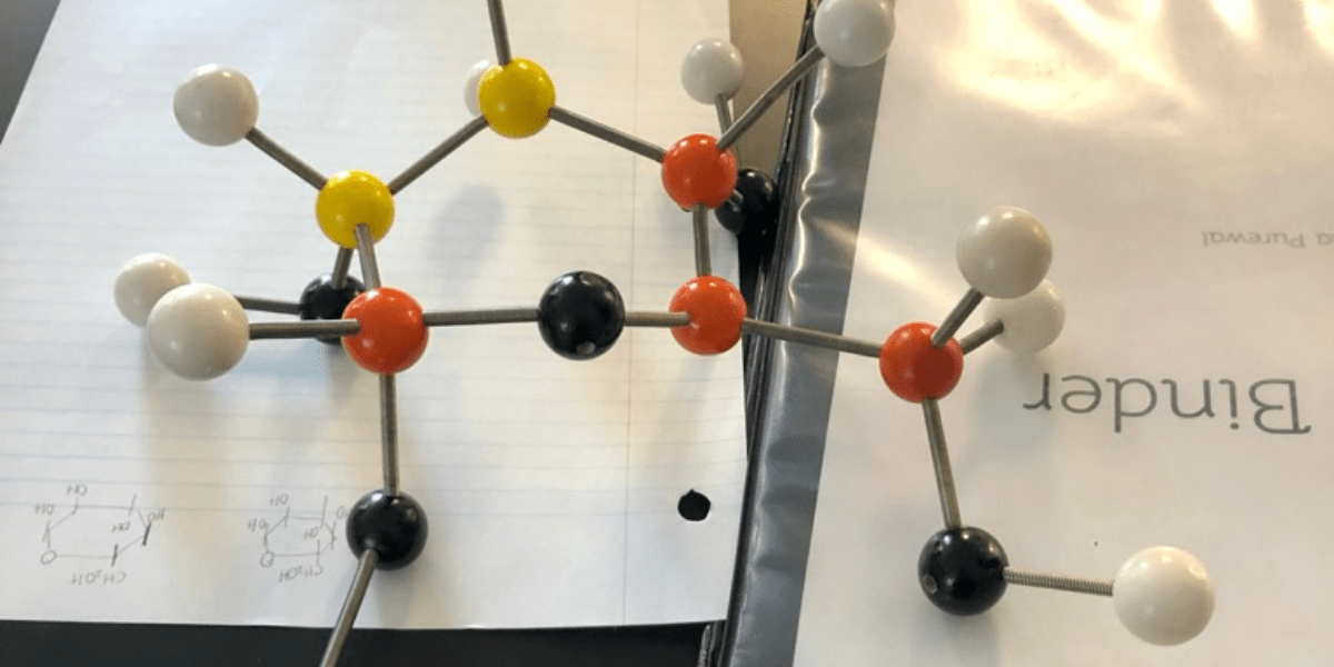 Macromolecules - Newton's Grove School: Kids Grow Here